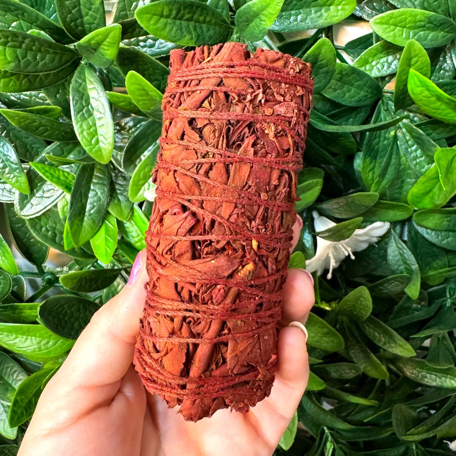 Dragon Blood Sage – Natural Witch